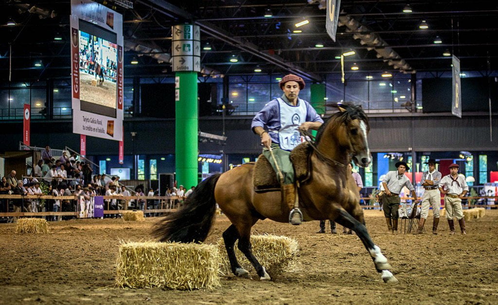 “Nuestros Caballos” vuelve a La Rural con la presencia de las cabañas y ...
